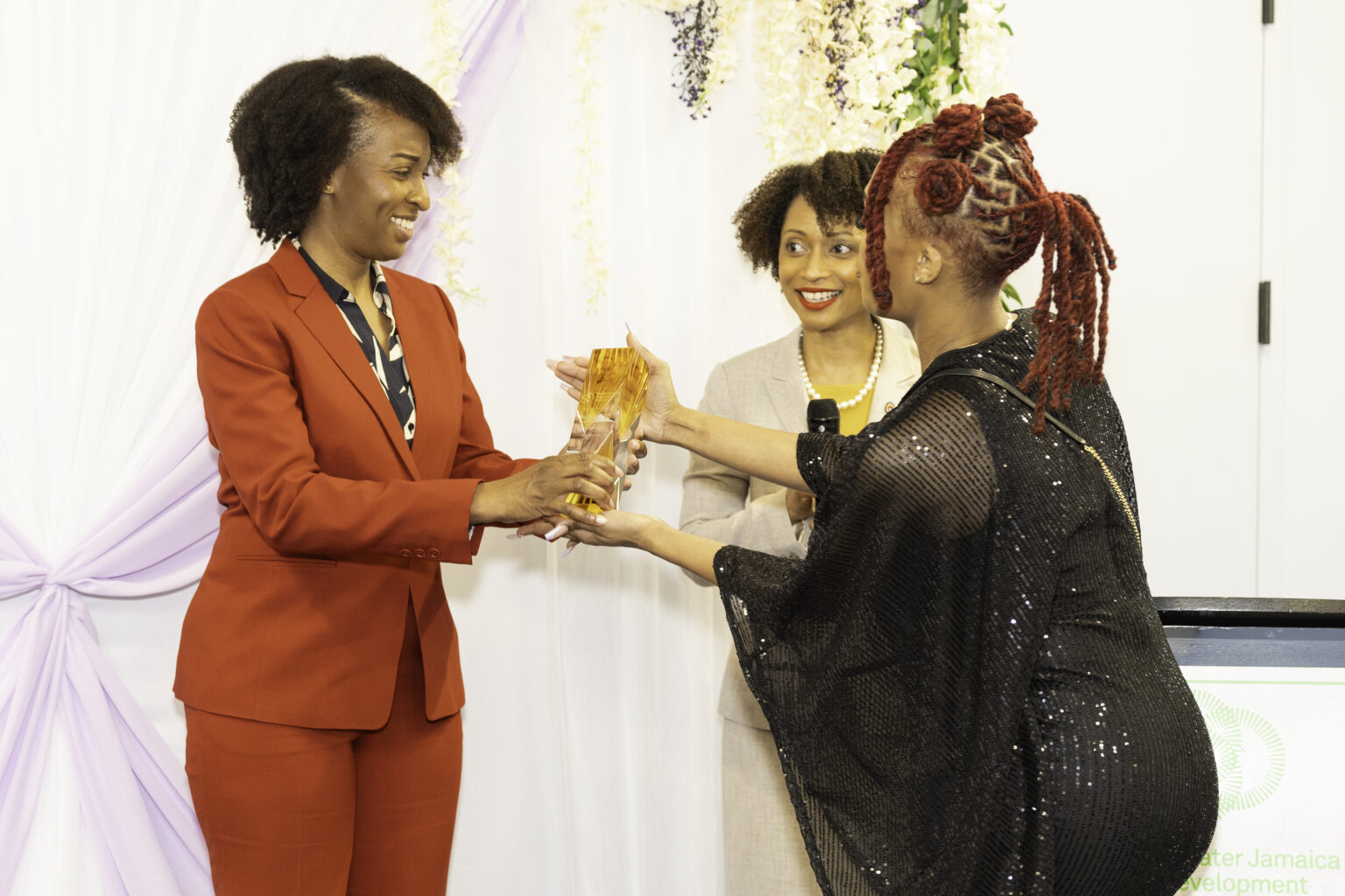 Third Annual Women Who Lead – GJDC